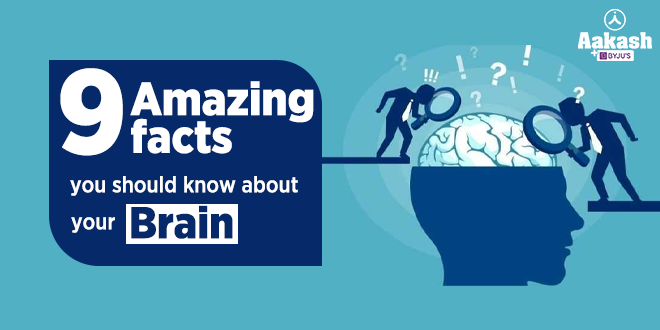 9 Amazing facts you should know about your Brain