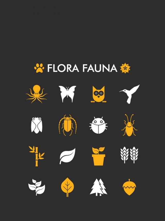 What is Flora and Fauna? Explain with Examples - Aakash Blog