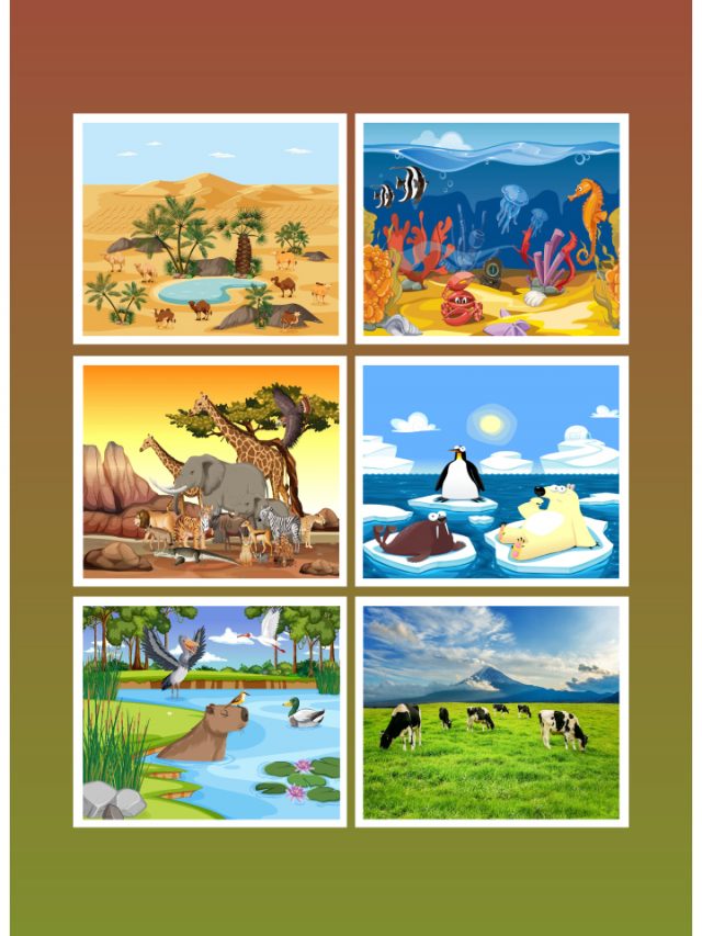 Explained: Difference Between Habitats and Microhabitats