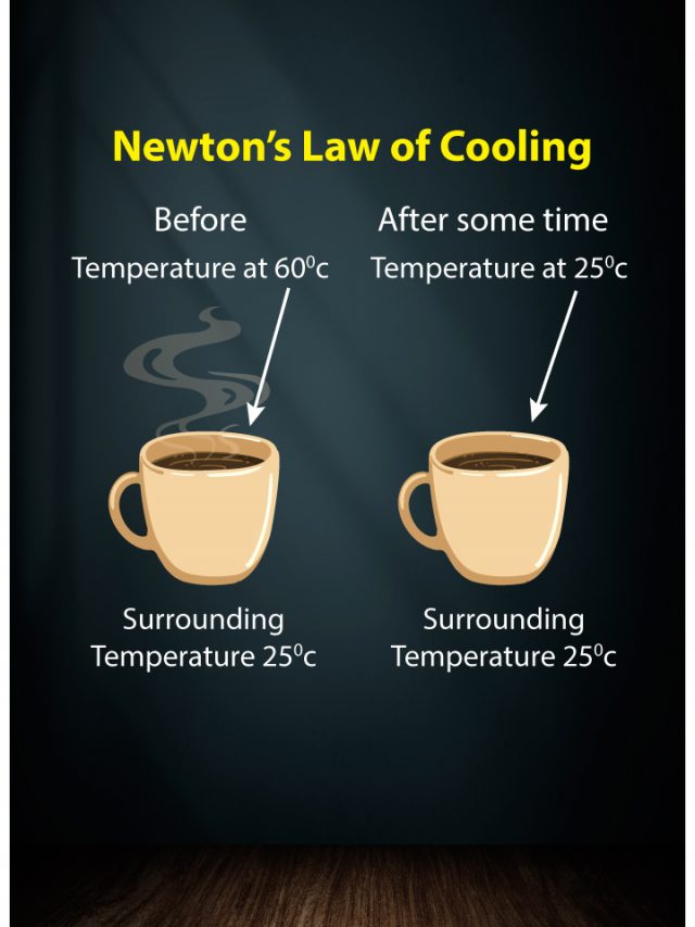 Newton’s Law of Cooling Explained With Examples