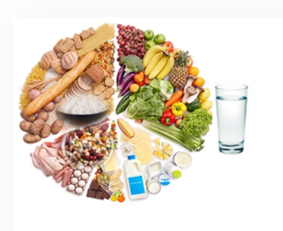 How A Healthy Diet Can Help You Score High In Exams?