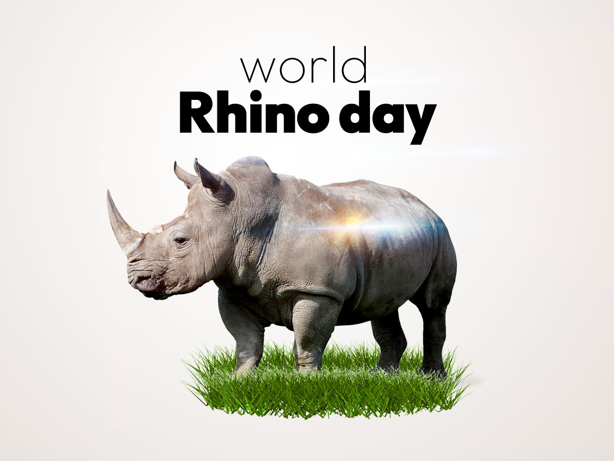 World Rhino Day 2022: History, Theme & Significance