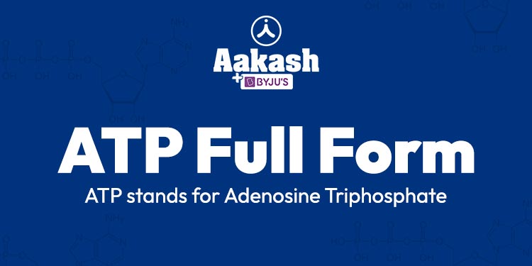 ATP Full Form: ATP stands for Adenosine Triphosphate