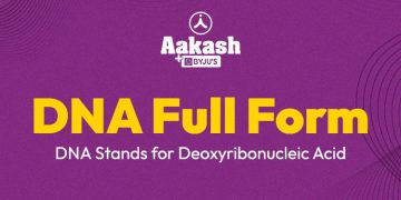 DNA Full Form: DNA Stands for Deoxyribonucleic Acid