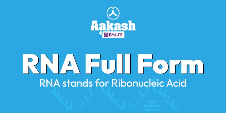 RNA Full Form: RNA stands for Ribonucleic Acid