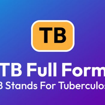 SMS Full Form: SMS Stands For Short Message Service