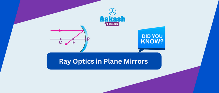 Everything You Need to Know About Ray Optics in Plane Mirrors