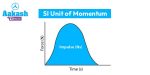 What is the SI Unit of Momentum?