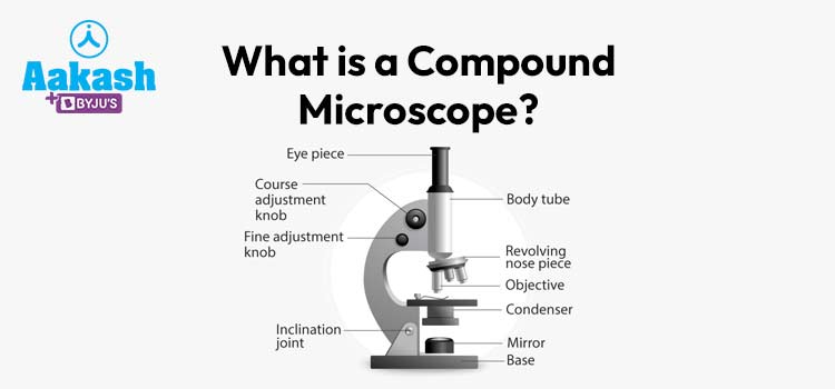 What is a Compound Microscope?