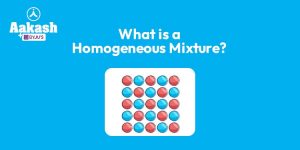 What is a Homogeneous Mixture?