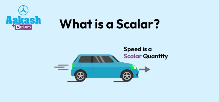 What is Scalar?