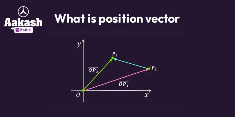 What is Position Vector?