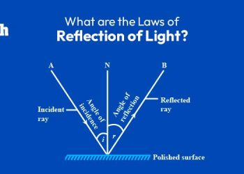 What is Reflection of Light?