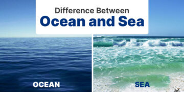 Difference Between Ocean and Sea