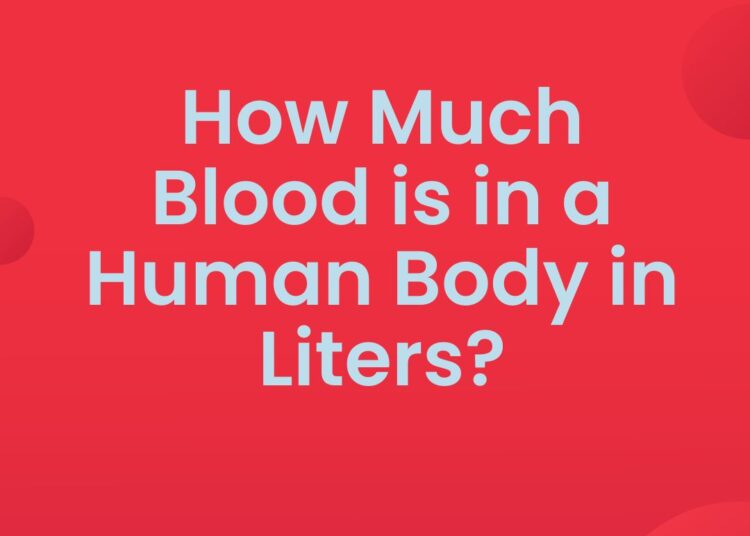 How Much Blood is in a Human Body in Liters?