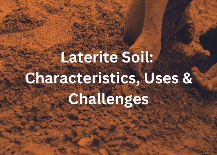 Laterite Soil Characteristics, Uses & Challenges