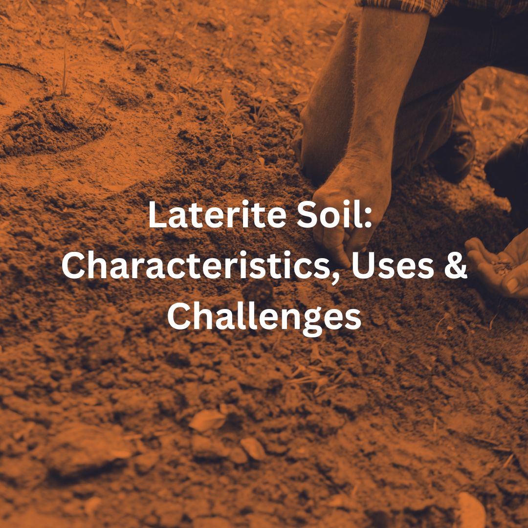 Laterite Soil Characteristics, Uses & Challenges