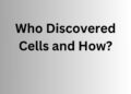 Who Discovered Cells and How?