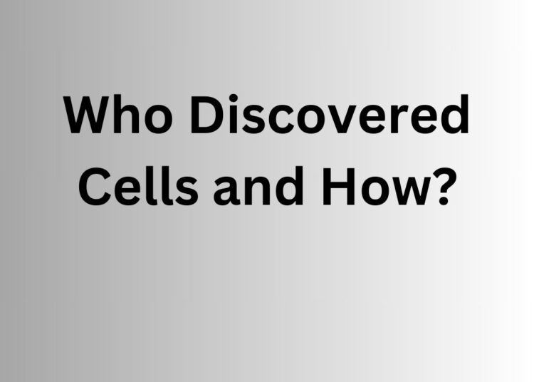 Who Discovered Cells and How?