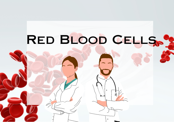 Full Form of RBC: RBC Stands for Red Blood Cells Full Form of RBC: RBC ...