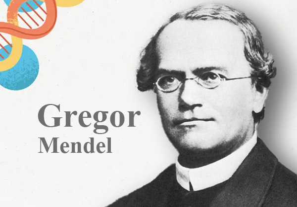 Who is Known as the Father of Genetics?