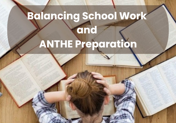 Balancing School Work and ANTHE Preparation