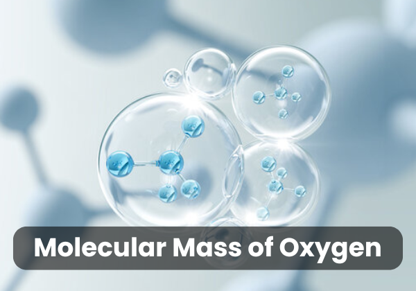Molecular Mass of Oxygen: Definition, Formula & Calculation